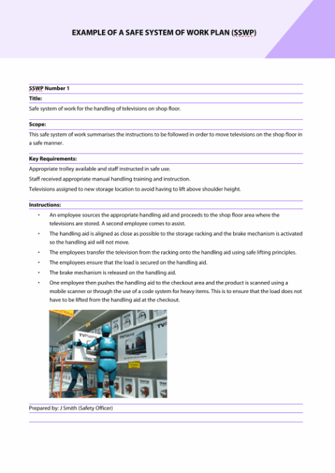 Example of Safe Systems of Working: Handling of Televisions on a Shop ...